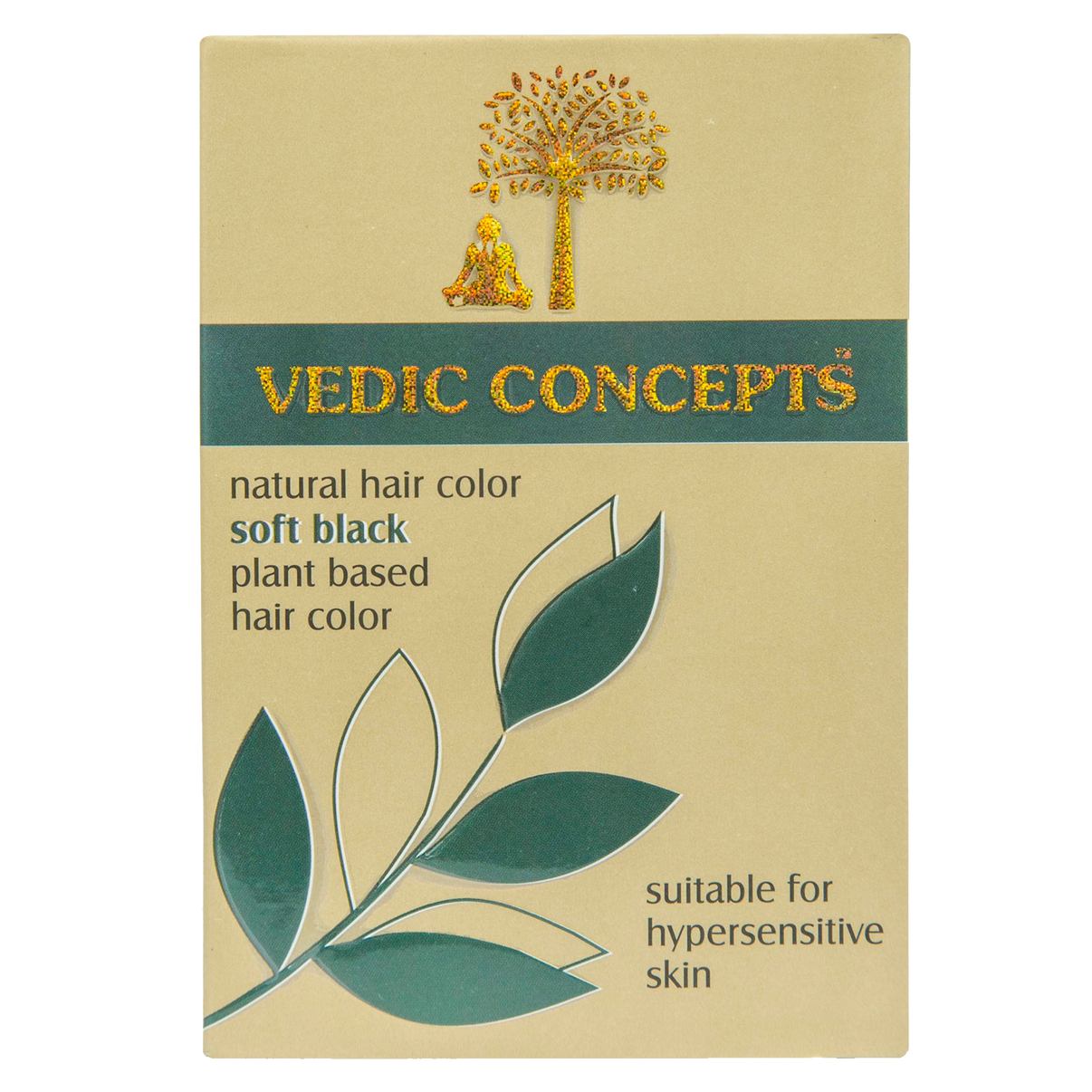 Vedic Concepts Natural Hair Color - Soft Black – The Vedic Concepts
